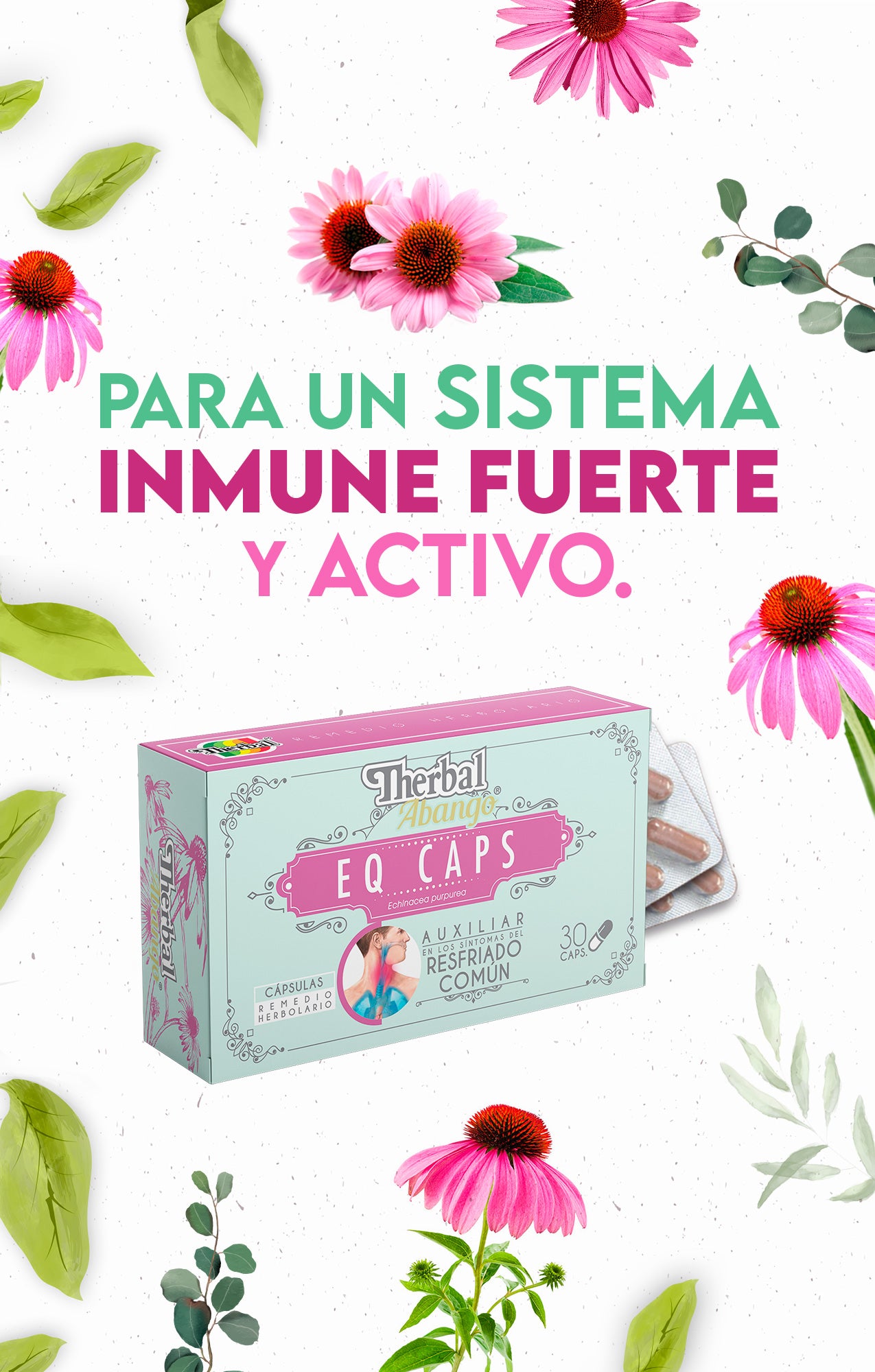 Productos – Therbal