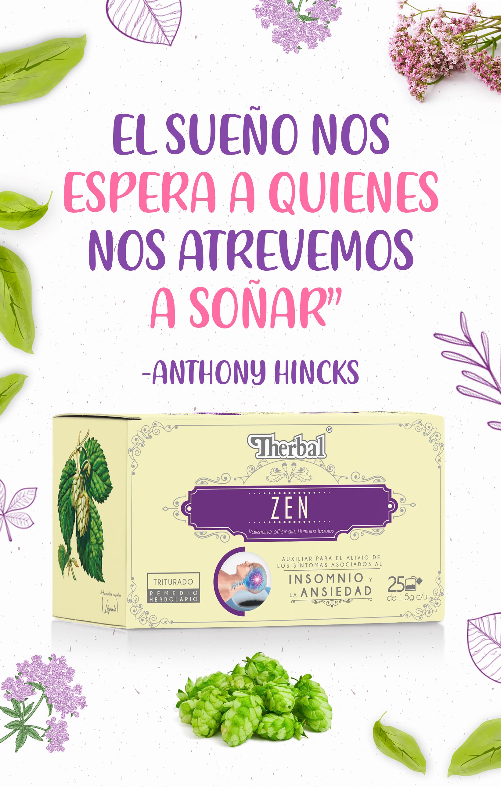 Sistema Respiratorio – Therbal